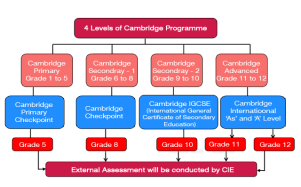 Tuition Cambridge Checkpoint English, OL, Literature - bunpeiris Literature